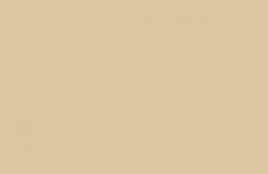 Significado da Cor Bege